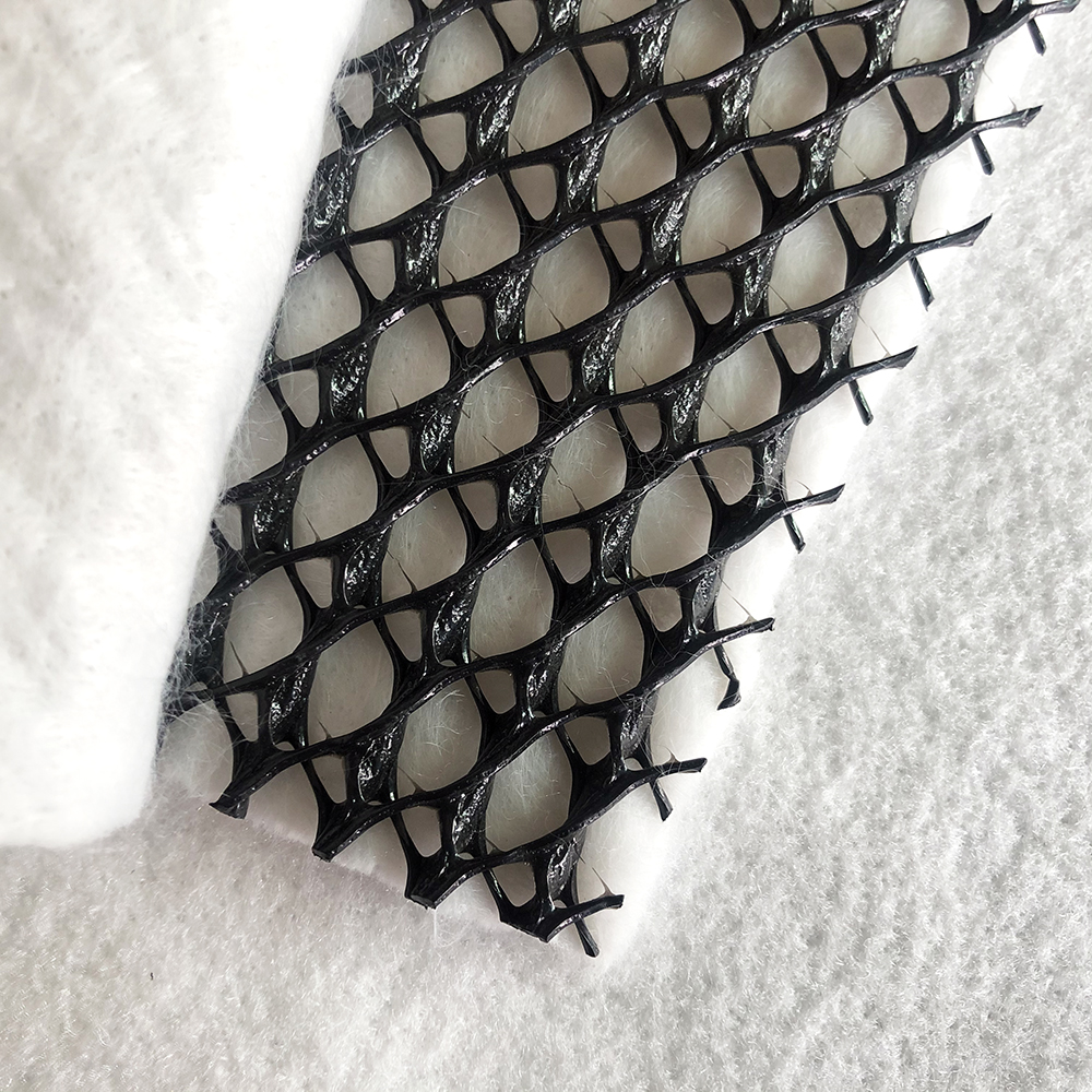 Geonet – Neoplastix