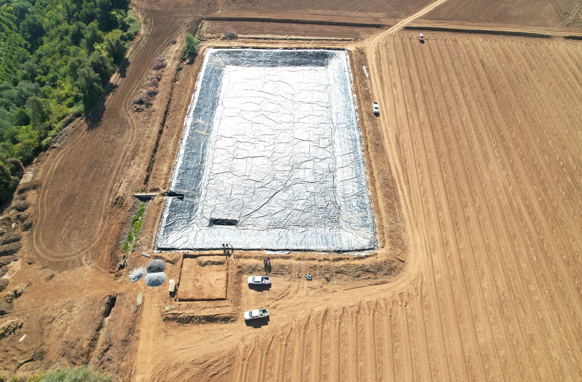 Proyectos – Neoplastix